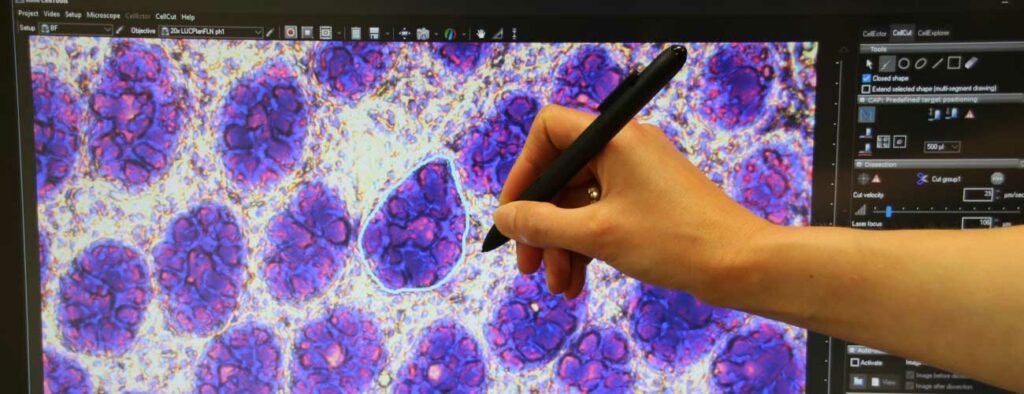 Molecular Pathology – Molecular Machines & Industries